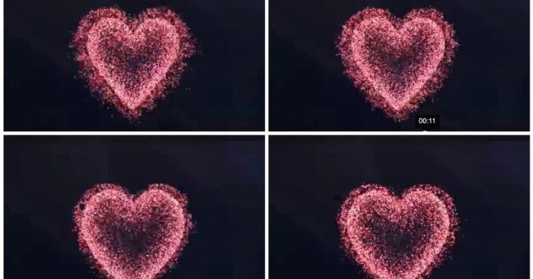 Cách Code trái tim Python đơn giản cho người không biết!