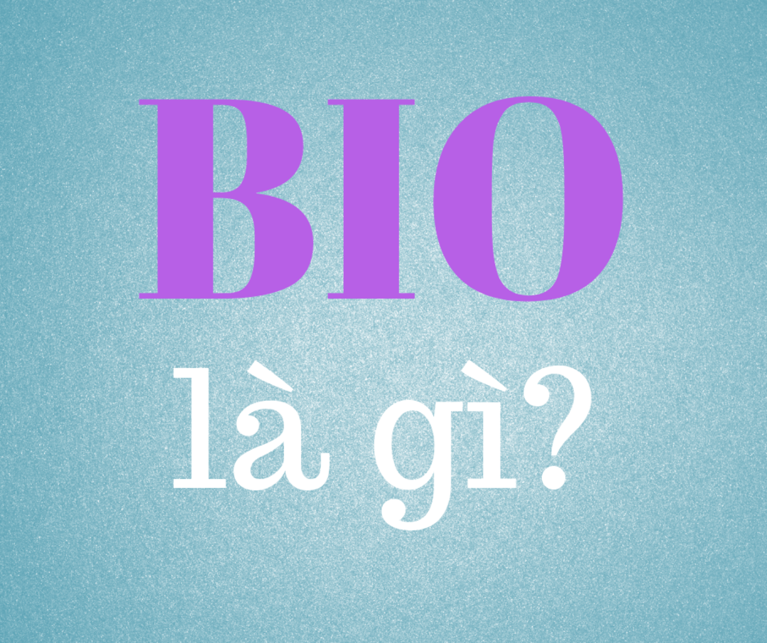 Bio trên Instagram là gì? Cách tạo bio ấn tượng nhất!