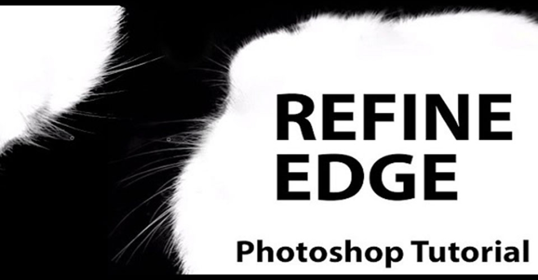 Hướng dẫn cách sử dụng Refine Edge trong Photoshop chi tiết